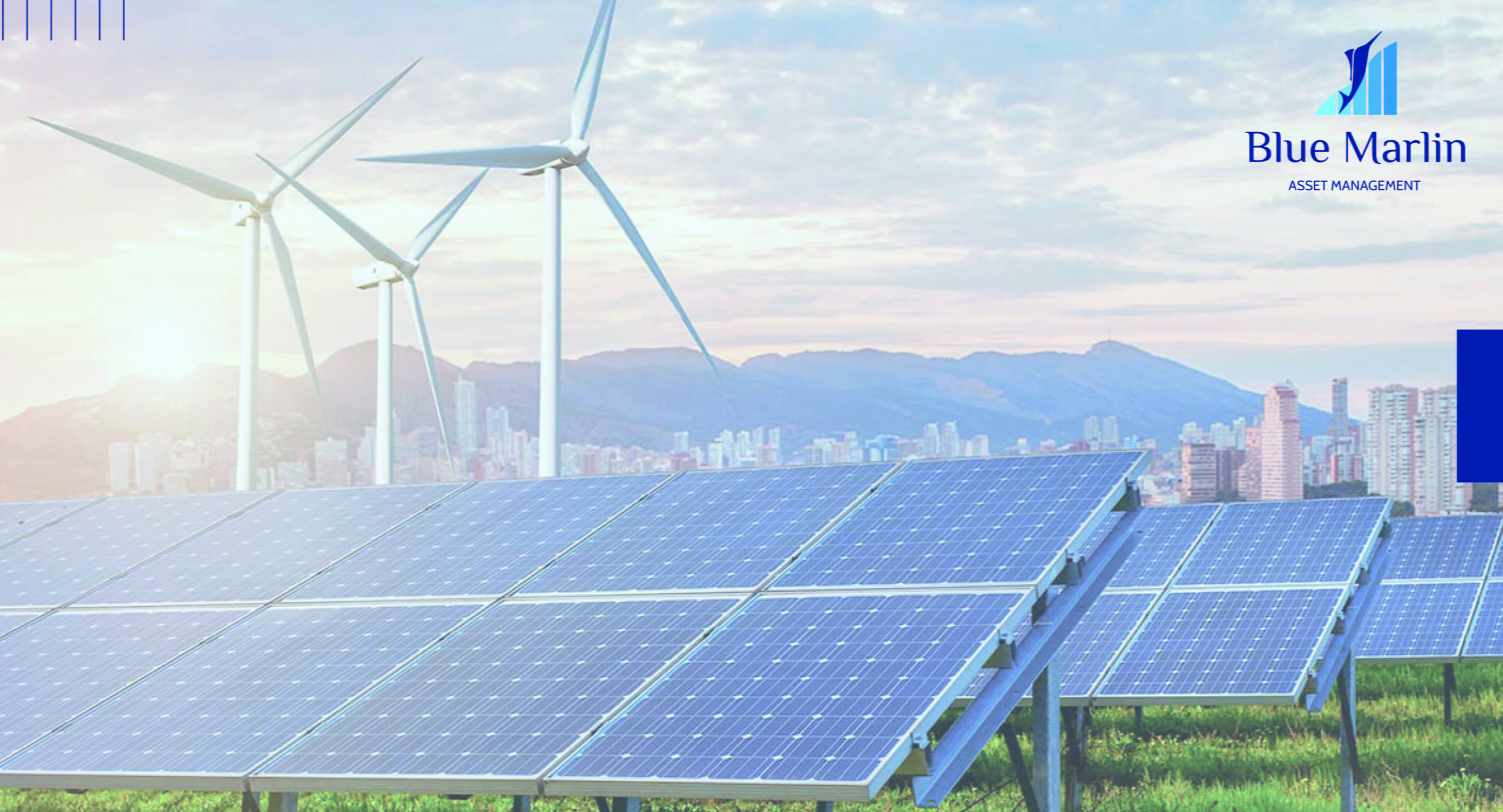 A Blue Marlin Asset Management e o investimento em energia renovável ...